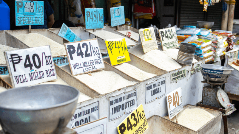Guide to Starting a Rice Business in the Philippines