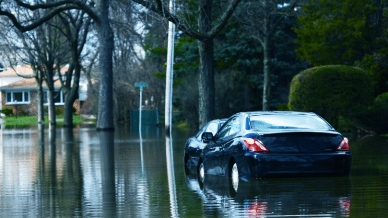 Top 10 Cars for Flood-Prone Areas in the Philippines (2026 Buyer’s ...